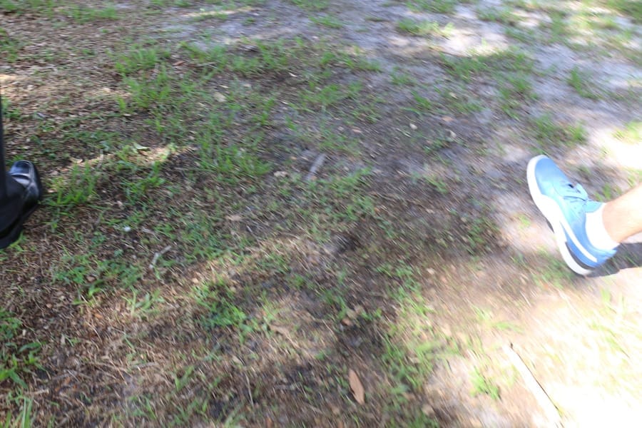 North_Port_65_Birthday_Photos_June_2024 (105) | CleanPix