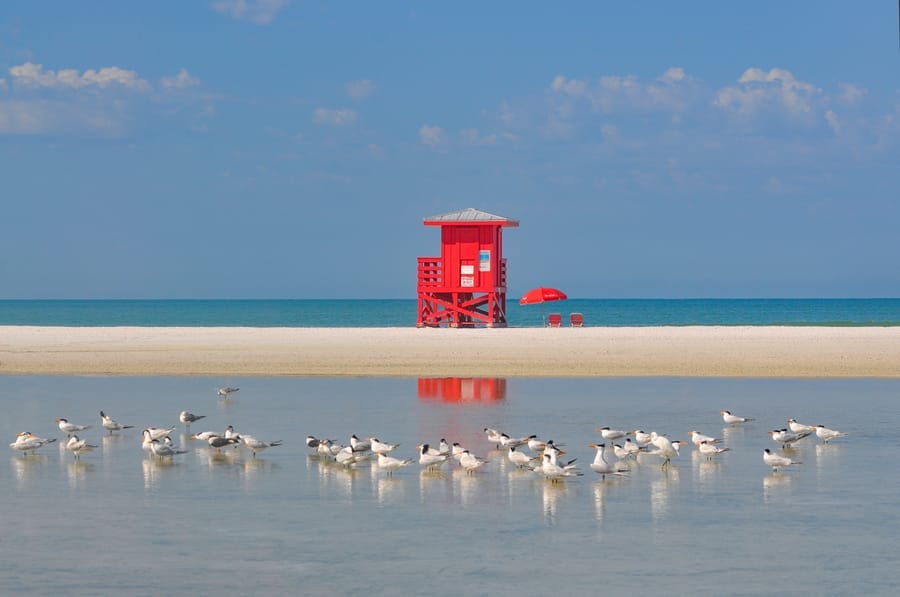 Siesta Beach | CleanPix