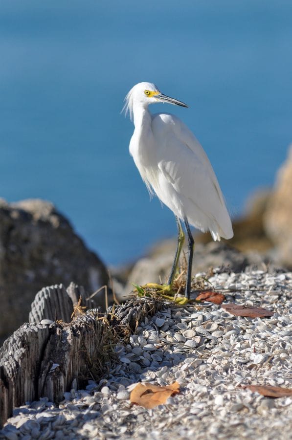 North Jetty | CleanPix
