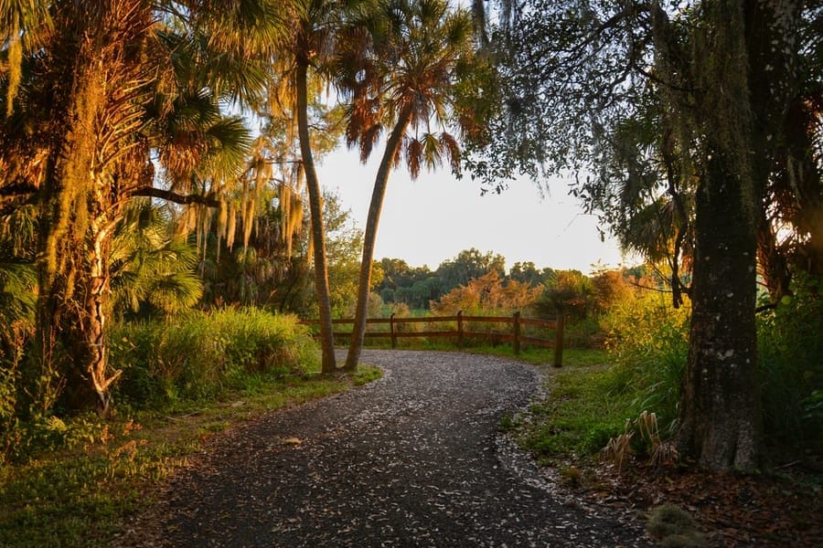 122721_RothenbachPark_213_SD_EDIT | CleanPix